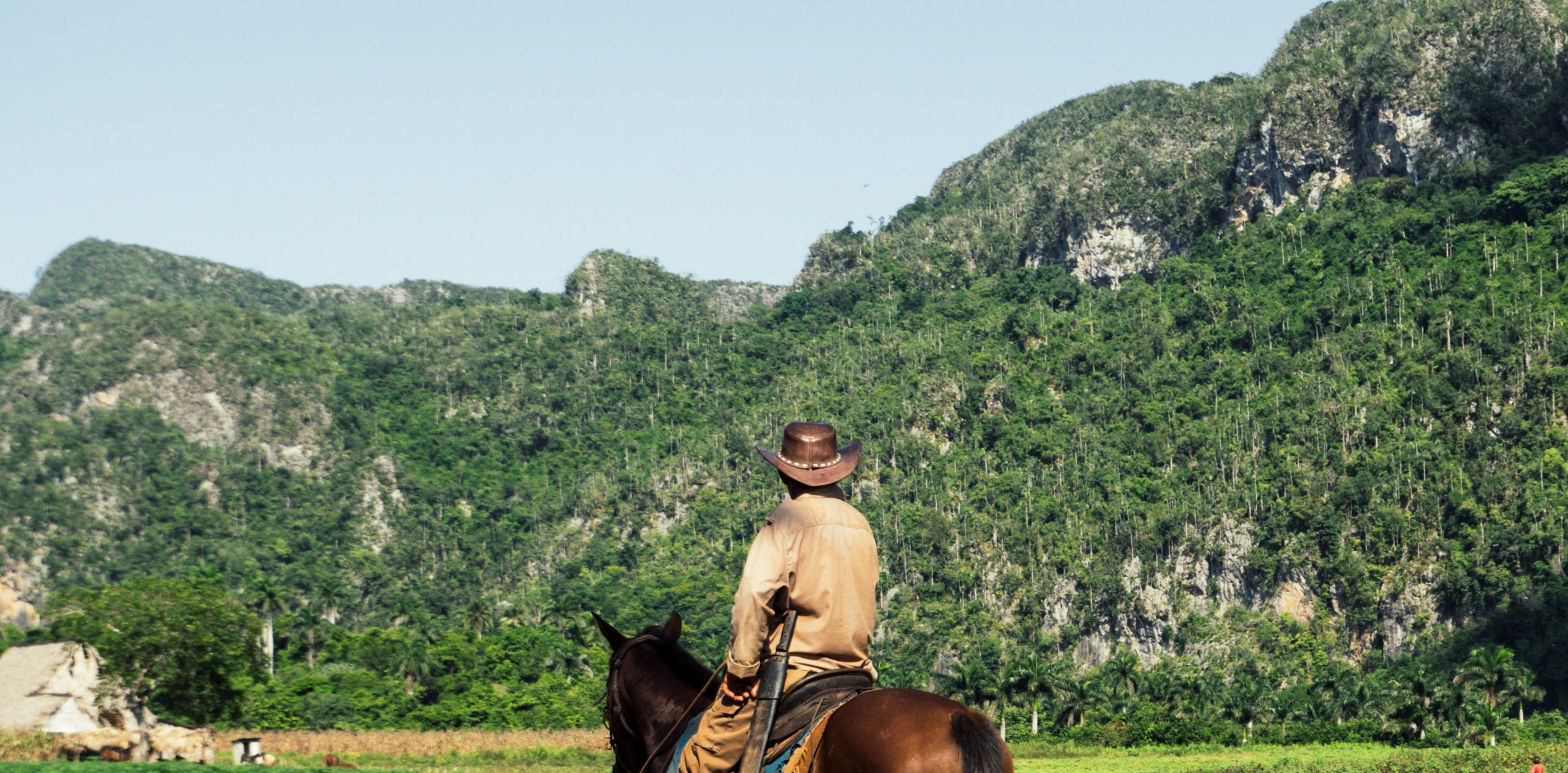 Celebrate Stampede with Research-Driven Reads! - University of Calgary ...